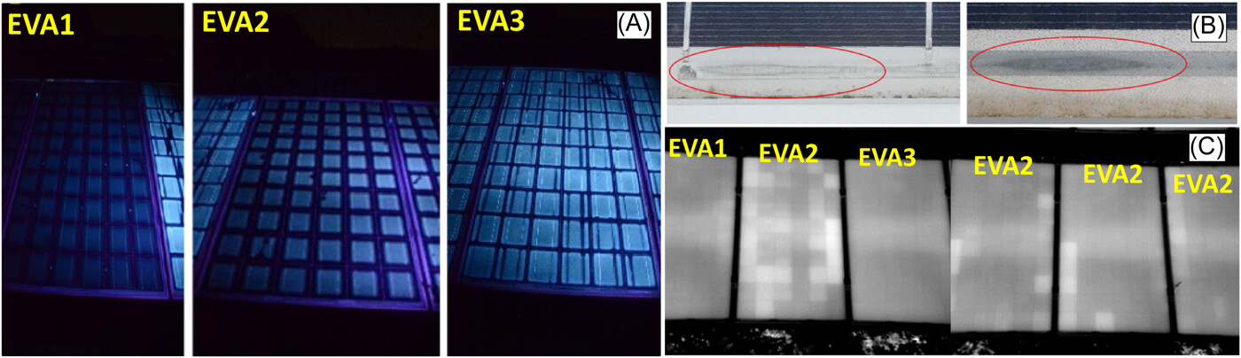 An Insight Into A Combined Effect Of Backsheet And Eva Encapsulant On